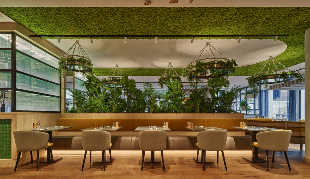 Botanica | DenHaag.com