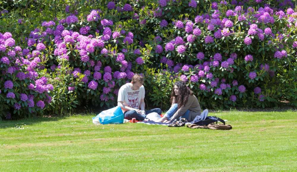 Westbroekpark | DenHaag.com