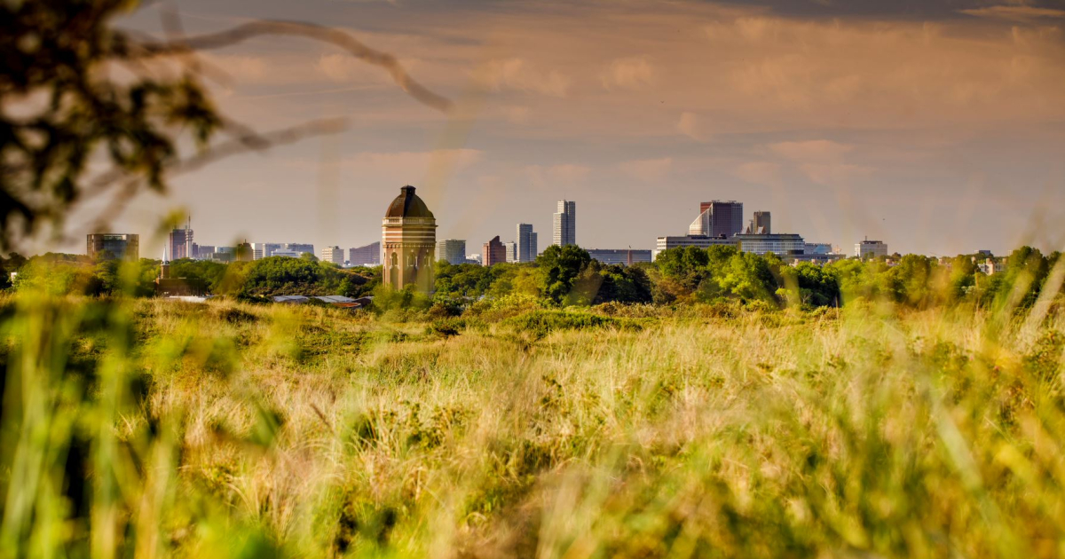 Ontdek alles over de Haagse wijken | DenHaag.com