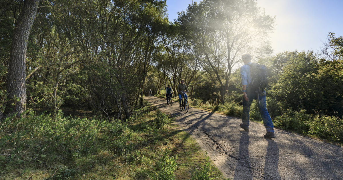 De mooiste wandelroutes door Den Haag | DenHaag.com