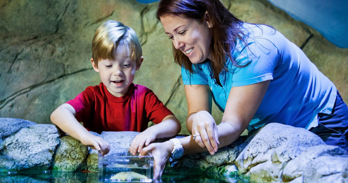 SEA LIFE Scheveningen | DenHaag.com